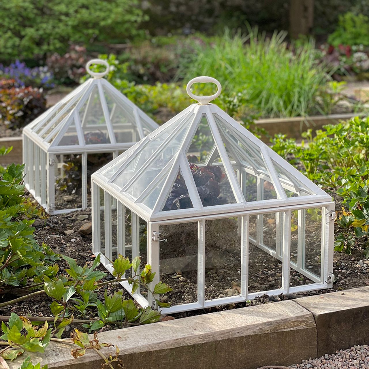 How to use a cloche in a garden like a gardening pro | Ideal Home
