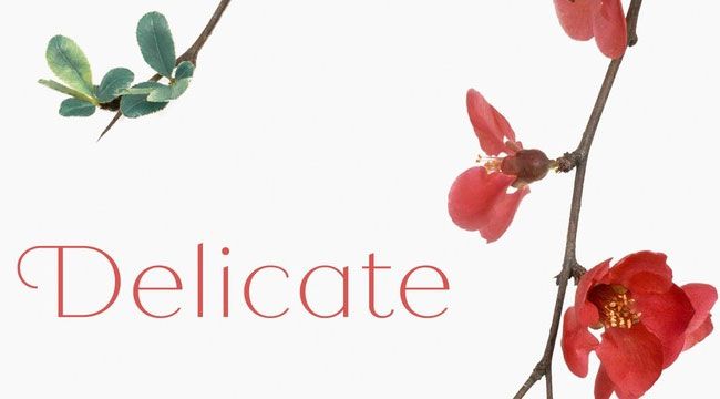 13 of the best pretty fonts to glam up your projects | Creative Bloq