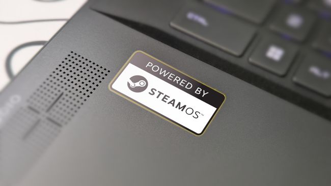 Valve's SteamOS could be 2025's biggest winner, powering new VR and ...