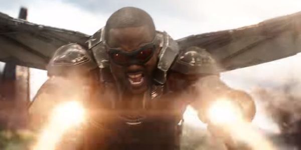 Anthony Mackie And His Falcon Stunt Double Watched Fans Watch Avengers ...