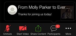 How to chat in Zoom | Tom's Guide