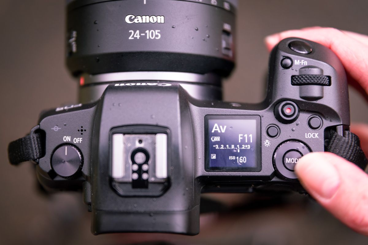 A vision in pink: shoot incredible images of blossom | Digital Camera World