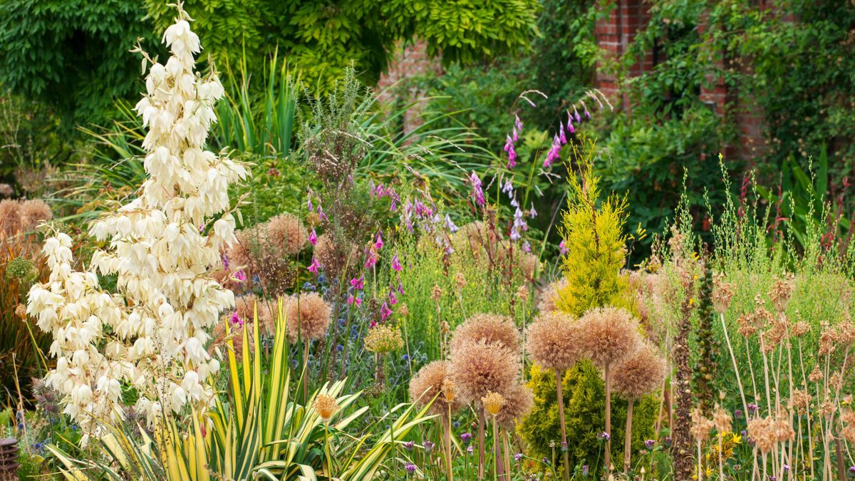 ‘Matrix planting’ is the hot new garden border trend | Ideal Home