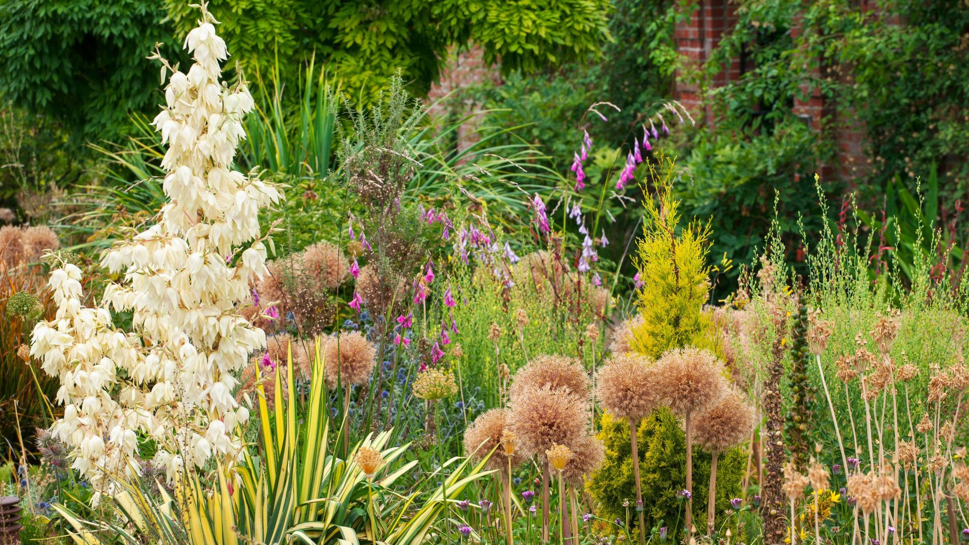 ‘Matrix planting’ is the hot new garden border trend | Ideal Home