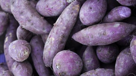 Meet The Ube: The Purple Yam That’s All Over Instagram | Coach
