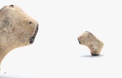 Studiomama's stone animals have quirky character and charm | Wallpaper*