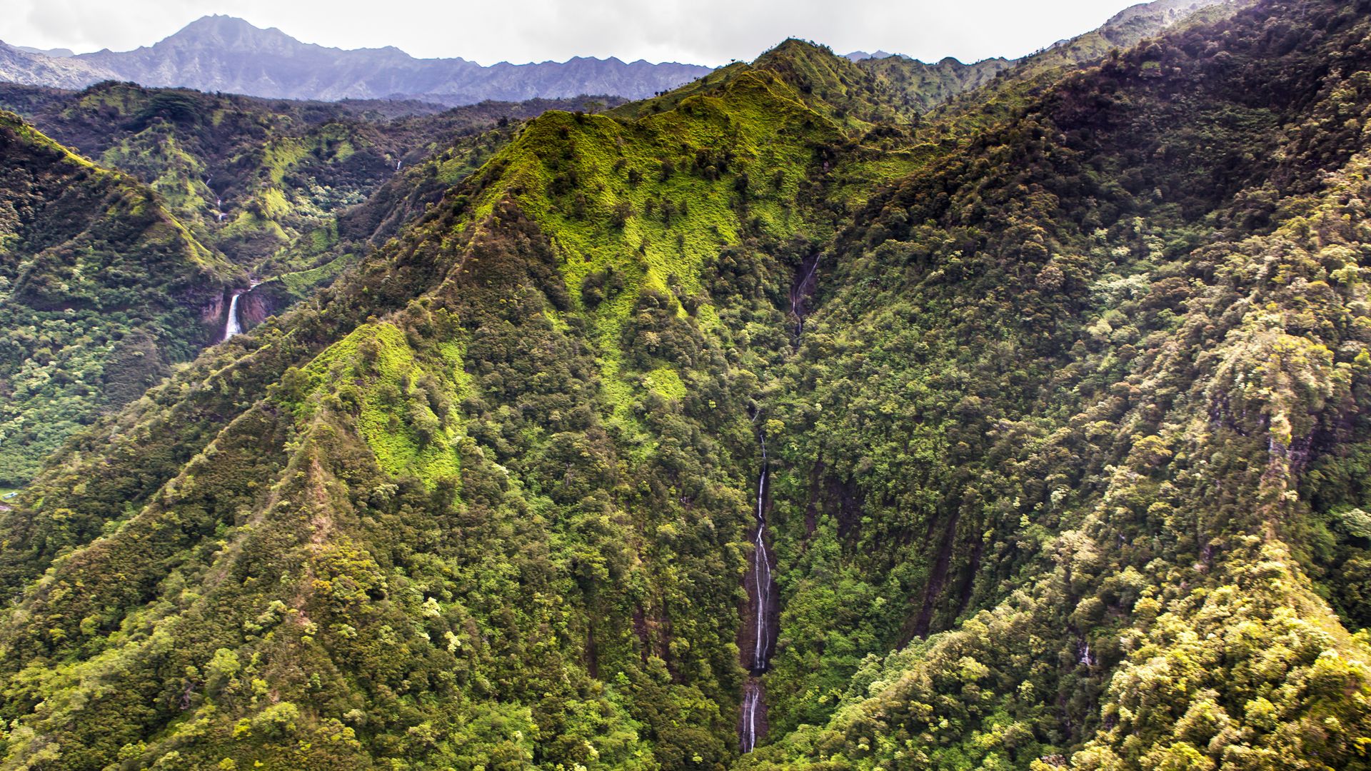 "Gifted" California chef dies on popular Hawaii waterfall hike after ...