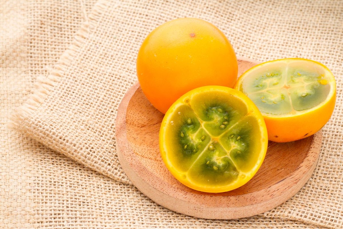 Naranjilla Harvest Guide – Learn How To Pick Naranjilla Fruits ...
