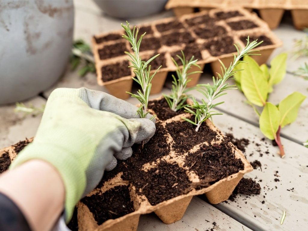 Ways To Find Free Plants For Your Garden | Gardening Know How
