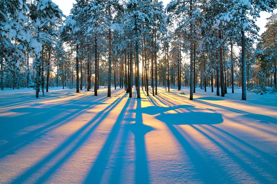 Winter Wonderland: Images of Stunning Snowy Landscapes | Live Science