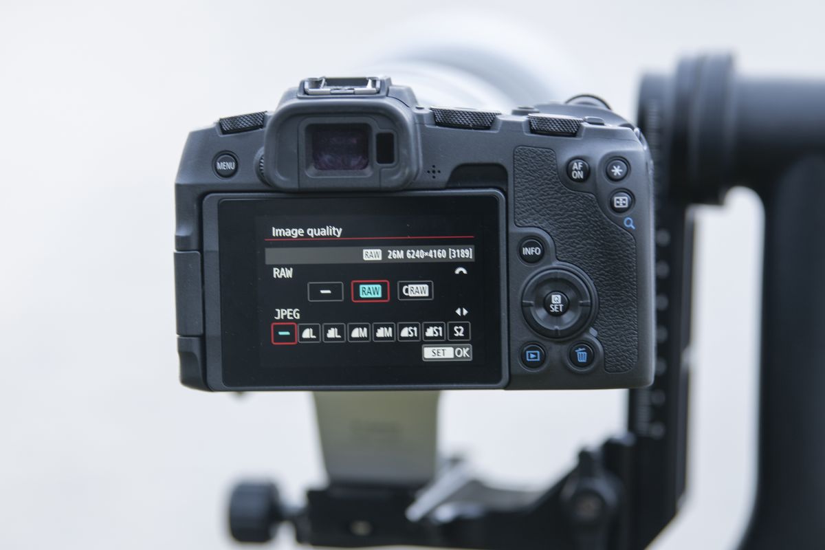 Use a slow shutter speed to inject movement into your wildlife ...