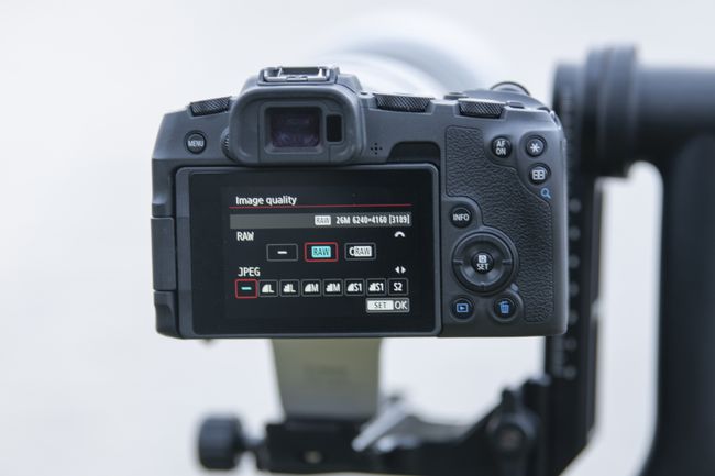 Use a slow shutter speed to inject movement into your wildlife ...