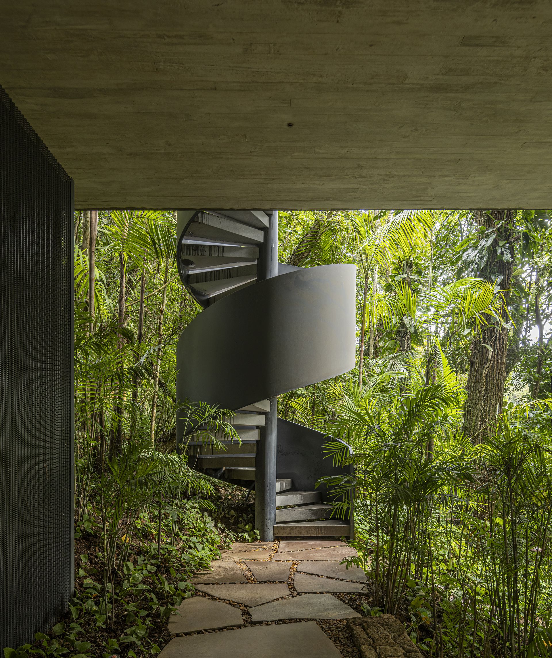 Discover Canopy House a leafy Brazil forest | Wallpaper*