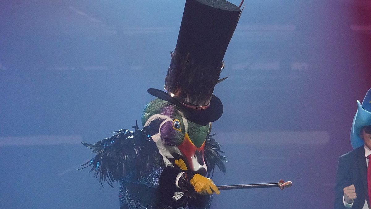 Who Is The Masked Singer's Mallard? Here's Our Best Guess | Cinemablend