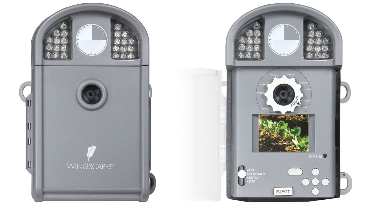 The best timelapse cameras in 2022 | Digital Camera World