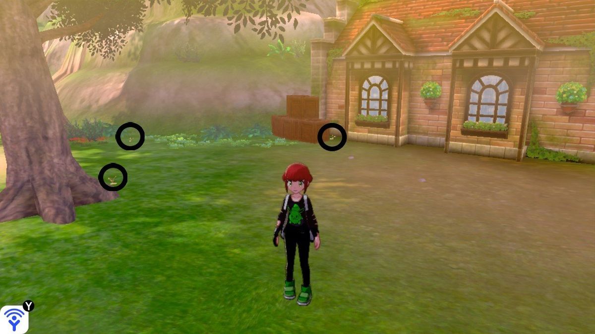 Pokémon Sword and Shield Expansion Pass Diglett Scavenger Hunt: Where ...