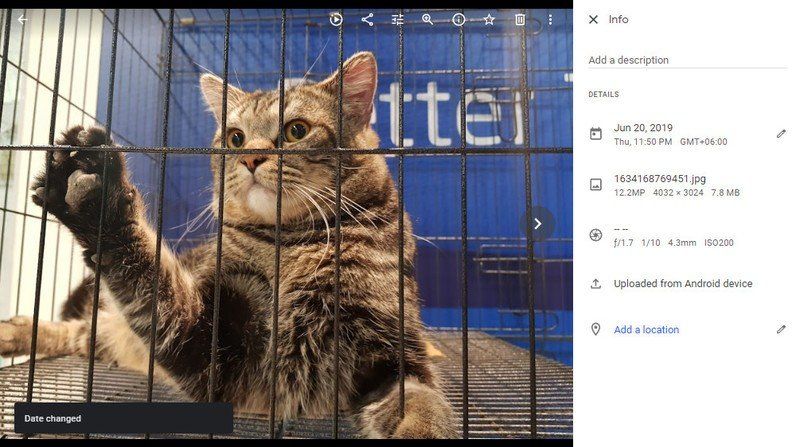 How to change the date and time of a photo in Google Photos | Android ...