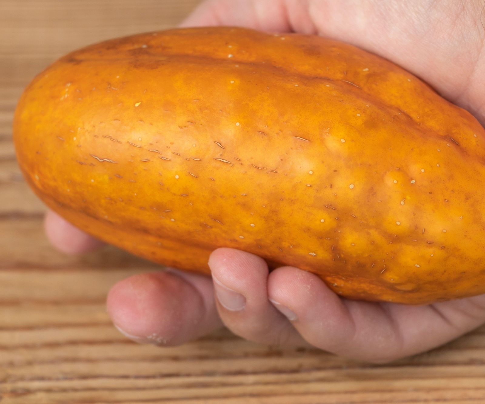 Why are my cucumbers turning yellow? And how to fix them | Homes and ...