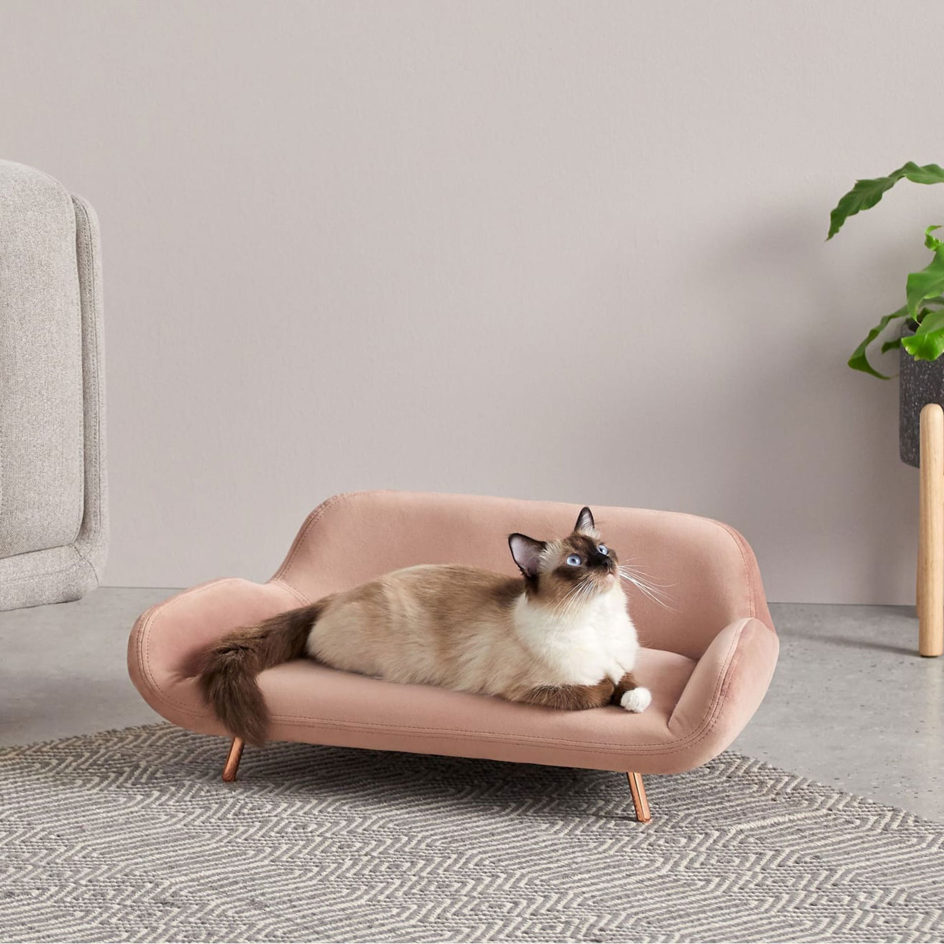8 stylish pet buys for the home – luxury pet accessories you need ...