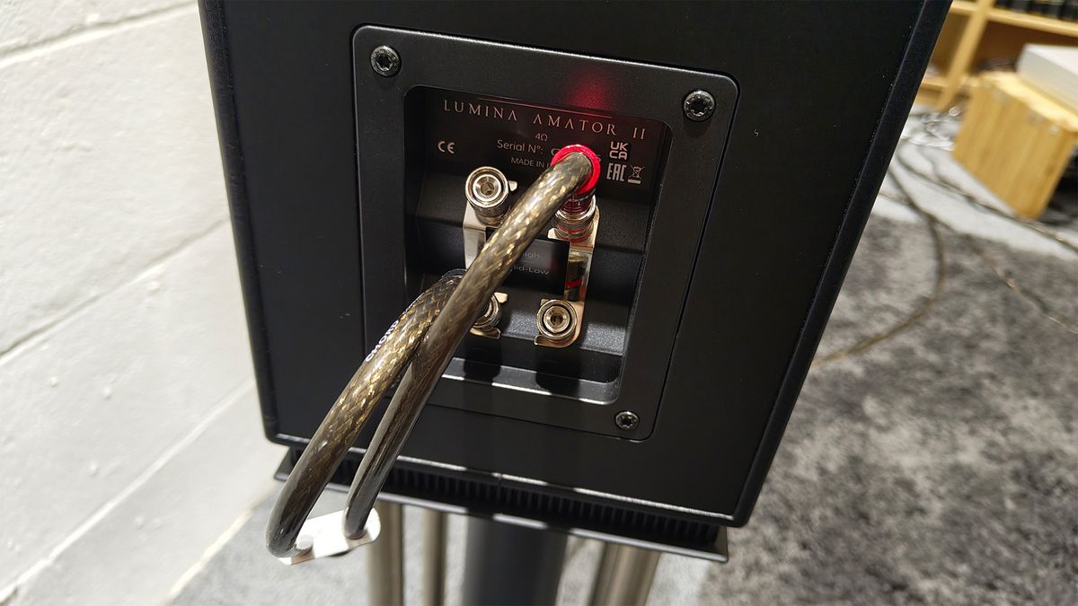Sonus Faber Lumina II Amator review: charming standmounters that blend ...