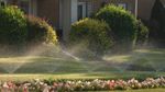 Should you water the lawn at night? Lawn care experts advise | Homes ...