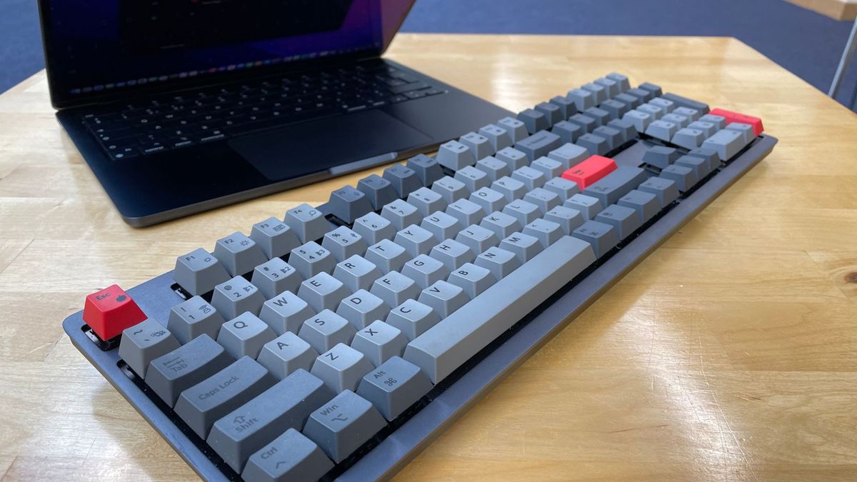 Wombat Pine Professional mechanical keyboard review: Custom feel with ...