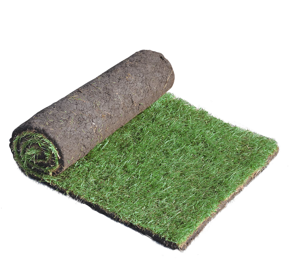 When is the best time to lay turf in the UK? | Homebuilding
