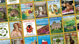 Articles by Country Life | Country Life