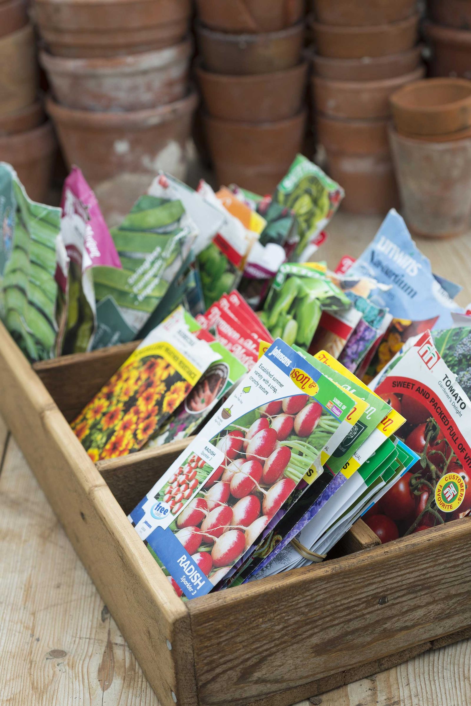 Free garden ideas: 13 ways to refresh your outdoor space without ...