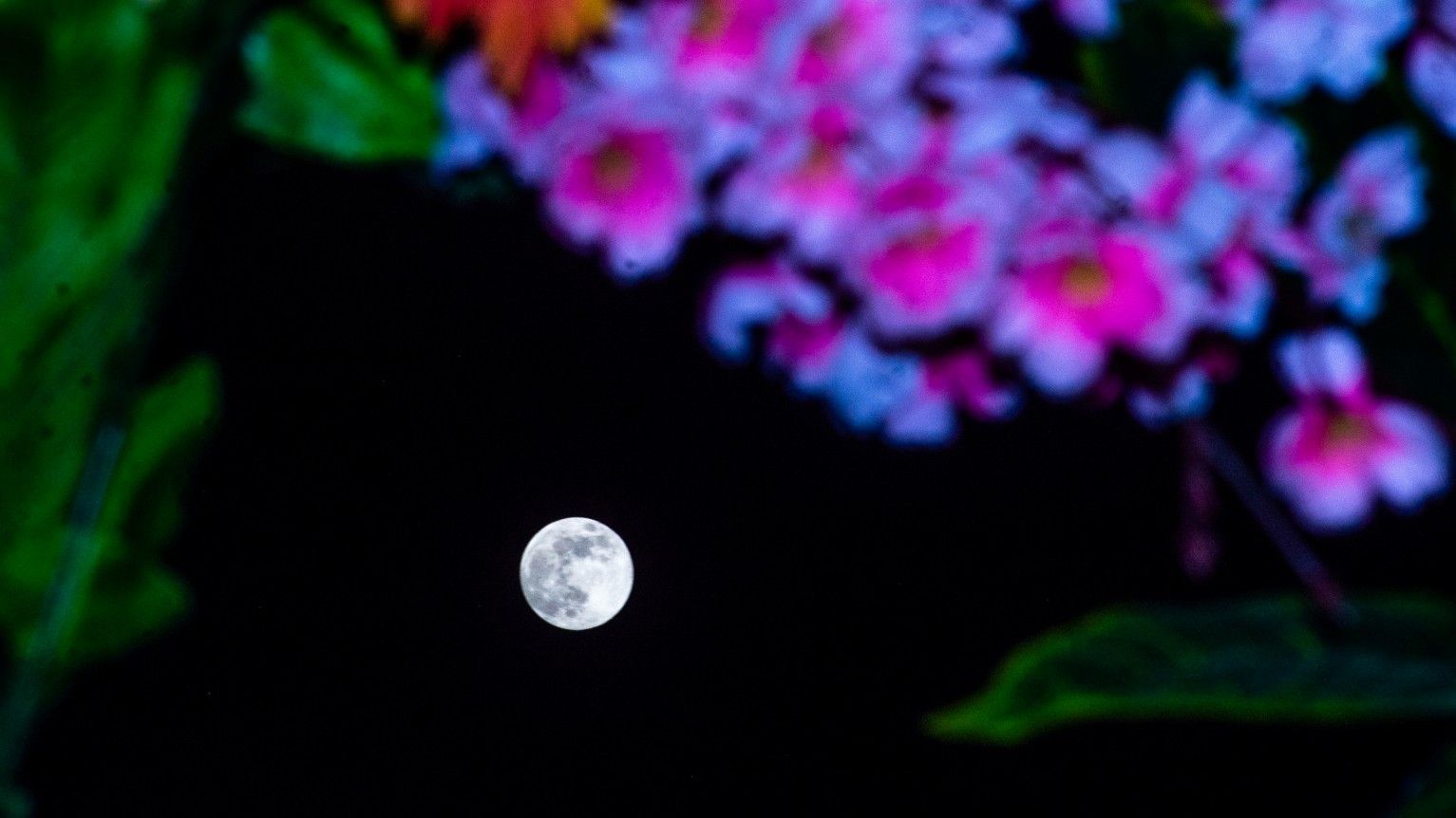 The 2025 full Flower Moon rises tonight: Here's what to expect | Space