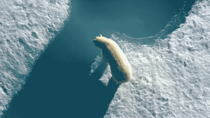 Polar photographer Florian Ledoux proves the cold won't bring down his ...
