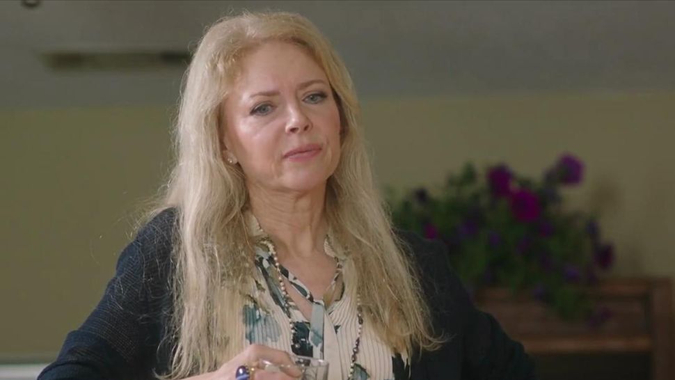 We Have A Ghost Cast: Where You've Seen The Actors From Netflix's ...