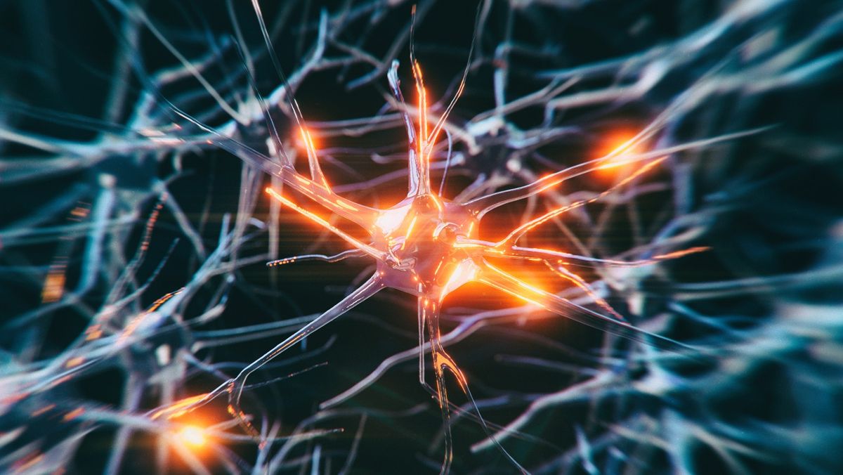 Does life really flash before our eyes when we die? | The Week