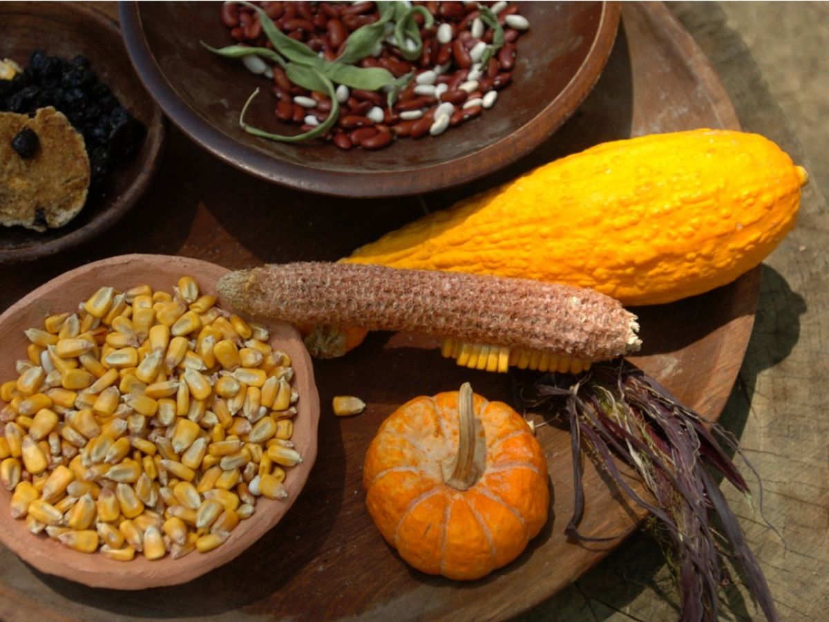 A Three Sisters Garden - Beans, Corn & Squash | Gardening Know How