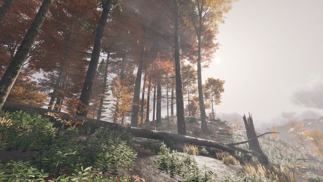 PlayerUnknown's survival game Prologue will hit early access in the ...