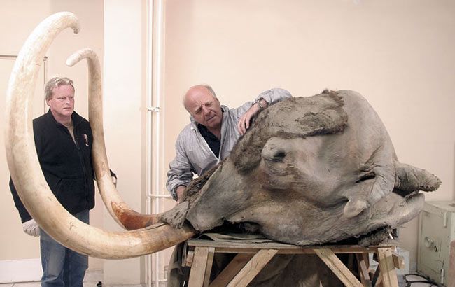 6 extinct animals that could be brought back to life | Live Science