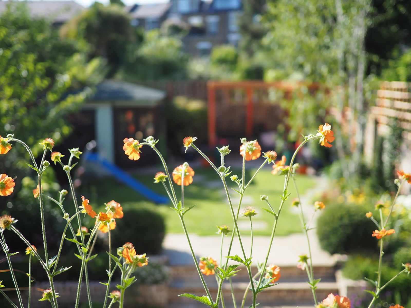 How to design a child friendly garden: make your plot a safe space ...