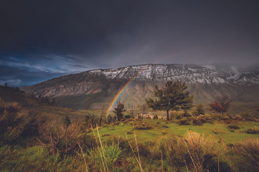 Learn how to unlock stunning natural colors in your photos | Digital ...