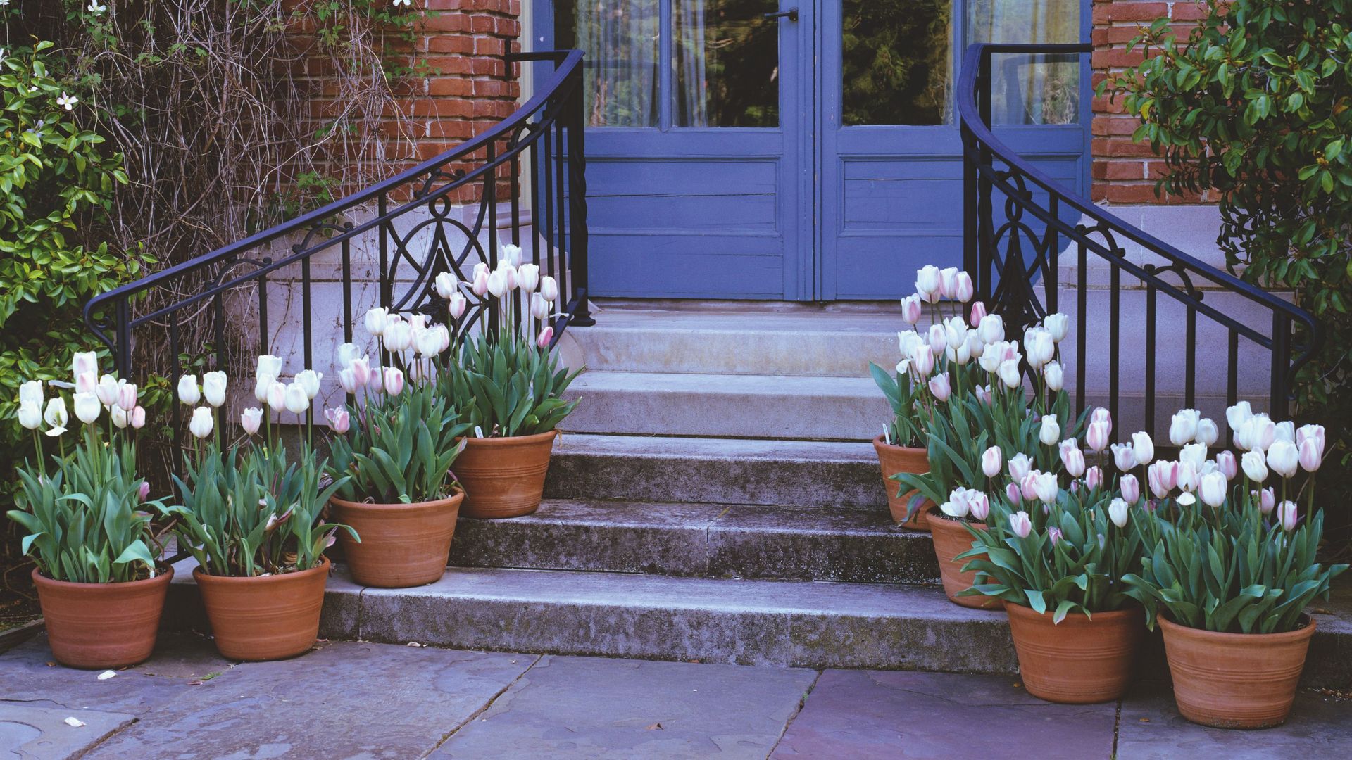 How to plant tulips in pots for dazzling spring displays | Ideal Home