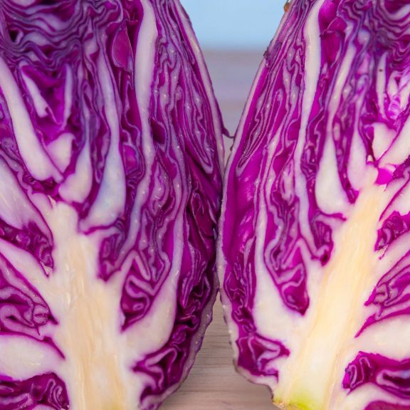 Tips & Information about Cabbage | Gardening Know How