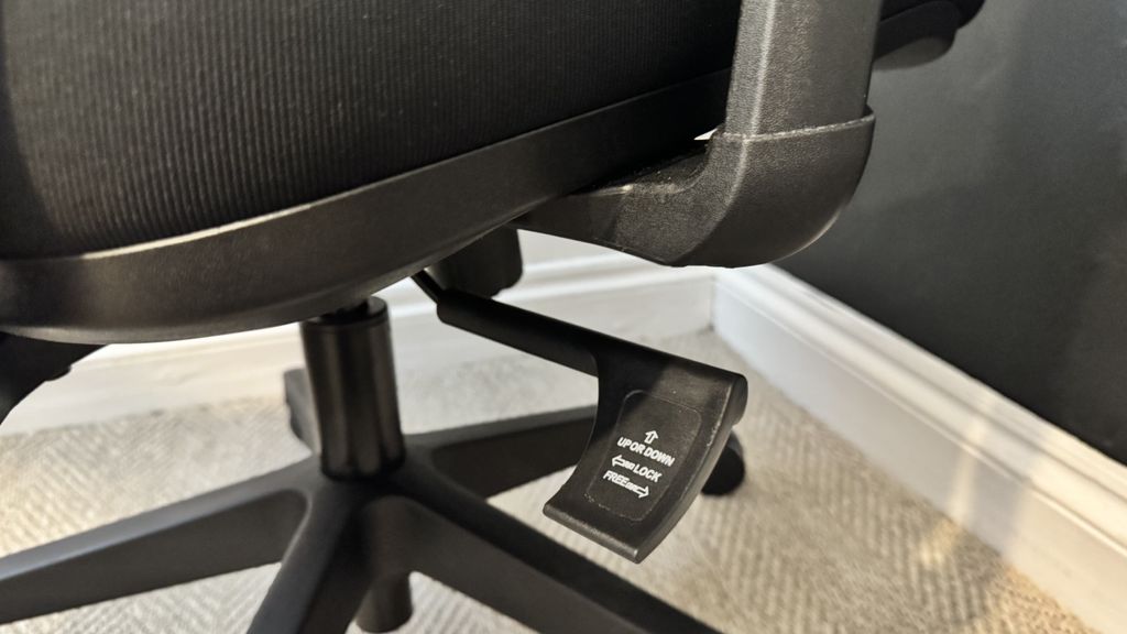 Flexispot OC3/BS3 review | PC Gamer