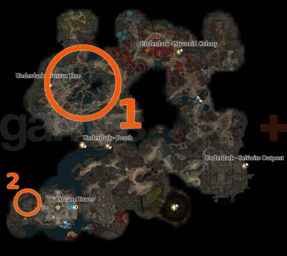 Sussur Bloom locations and uses in Baldur's Gate 3 | GamesRadar+