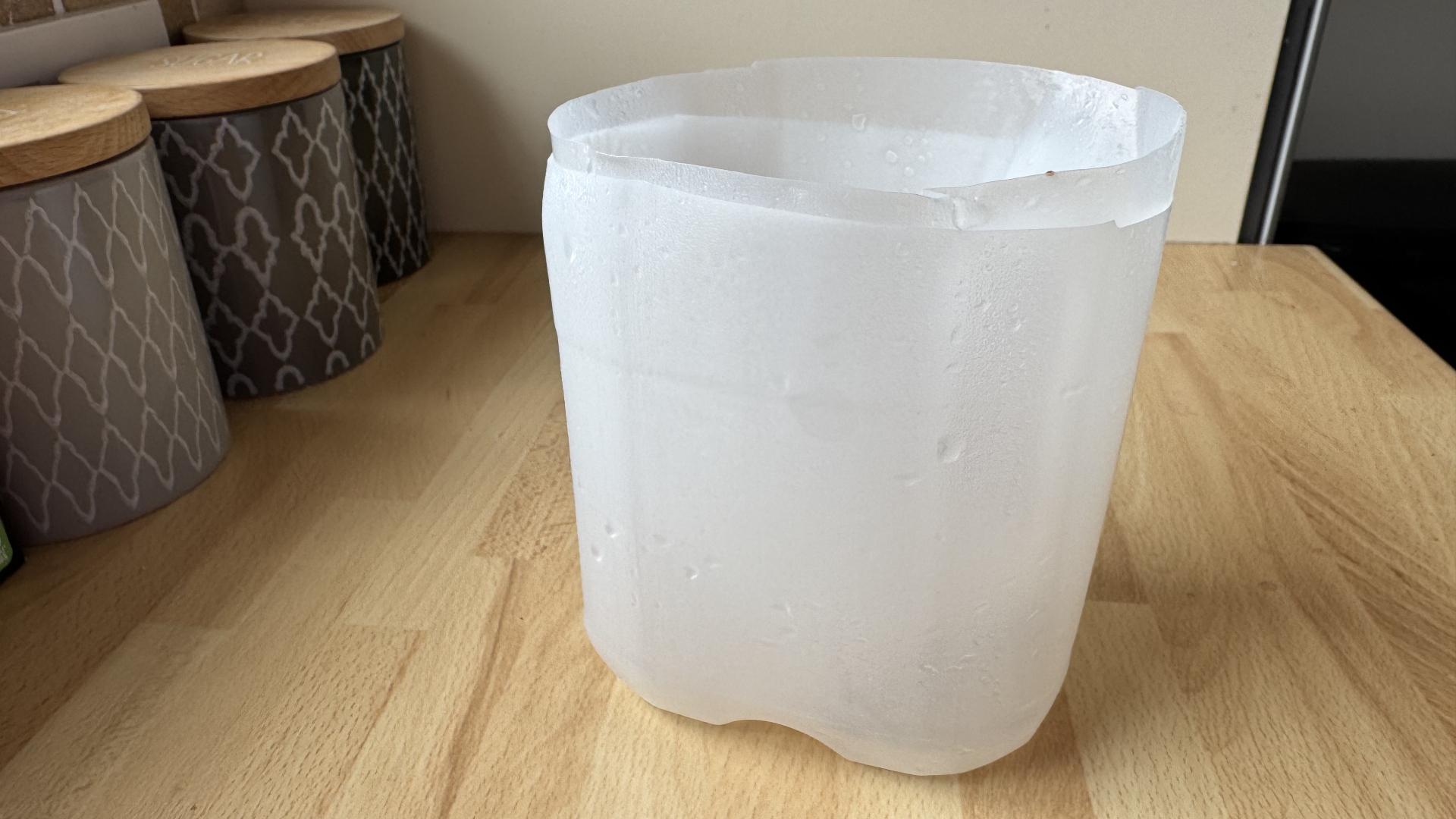 I made a DIY mini garden for free — all you need is…