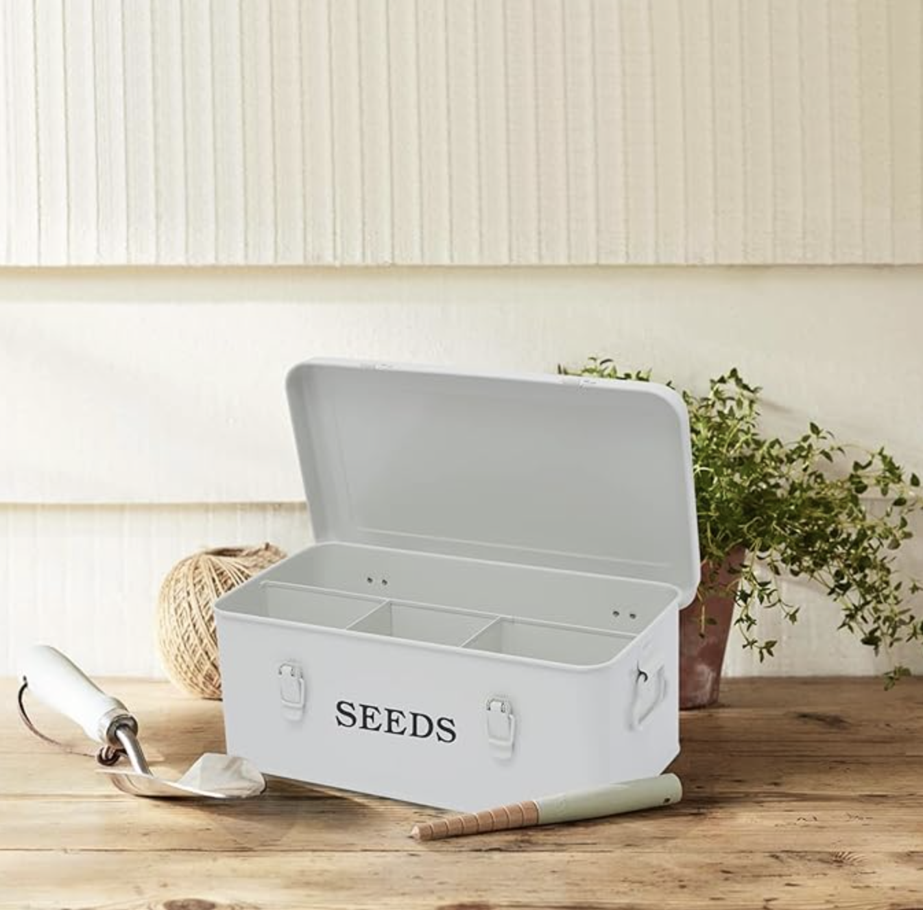 Seed storage mistakes: 7 expert tips for storing seeds | Homes and Gardens