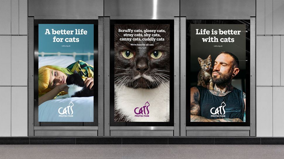 Cats Protection logo gets a purrfect redesign | Creative Bloq