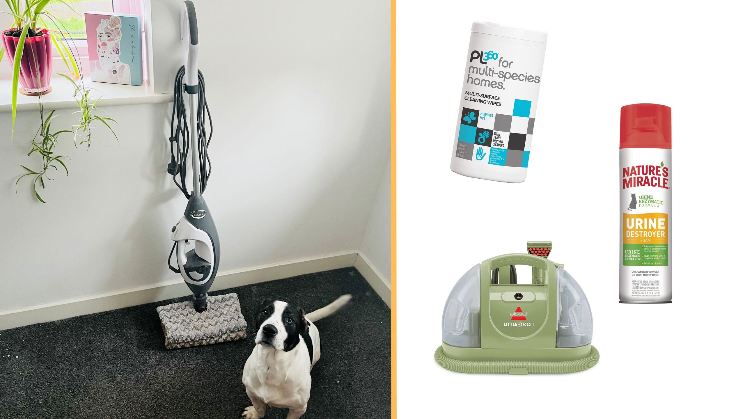 The best safe pet cleaning products | Real Homes