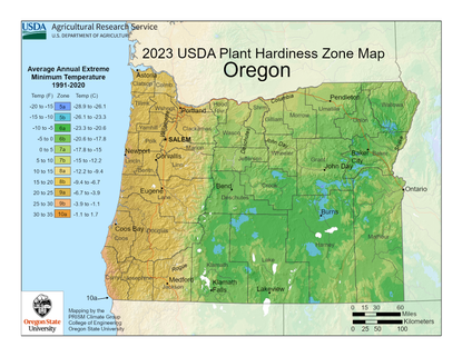 USDA Oregon Growing Zone For Plants Map | Gardening Know How