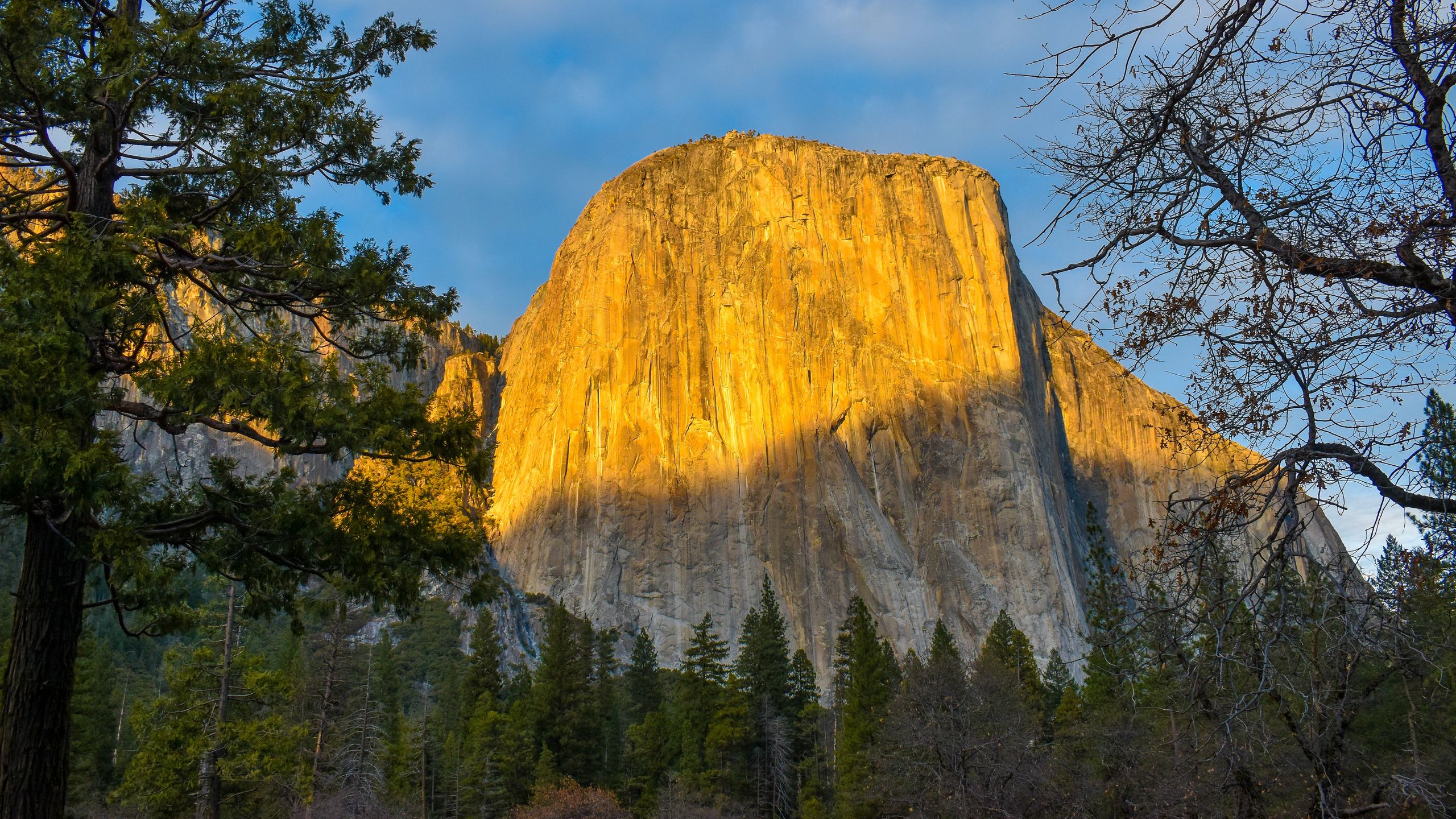 "A perfect day in the park" – watch breathtaking timelapse as climbers ...