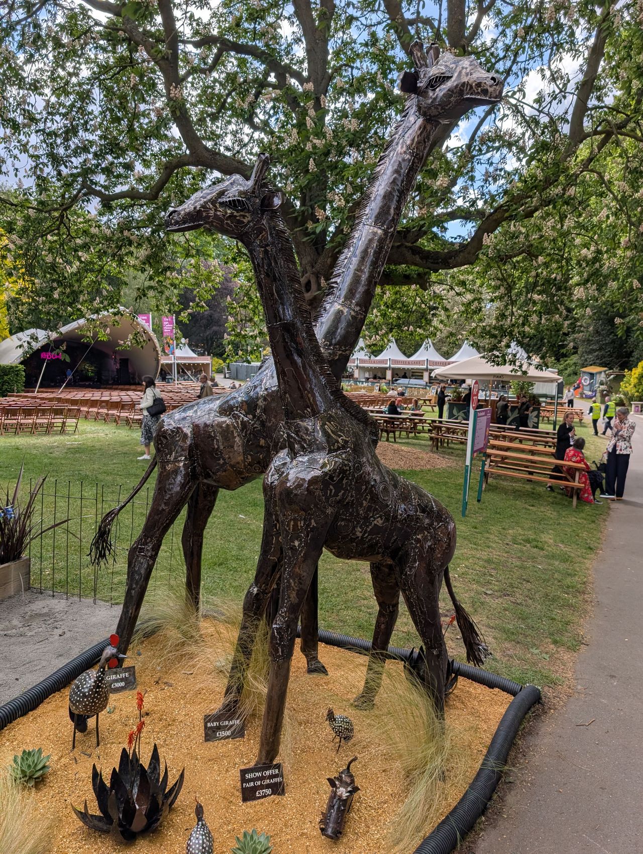 Chelsea Flower Show 2026: The entirely unofficial awards, according to ...