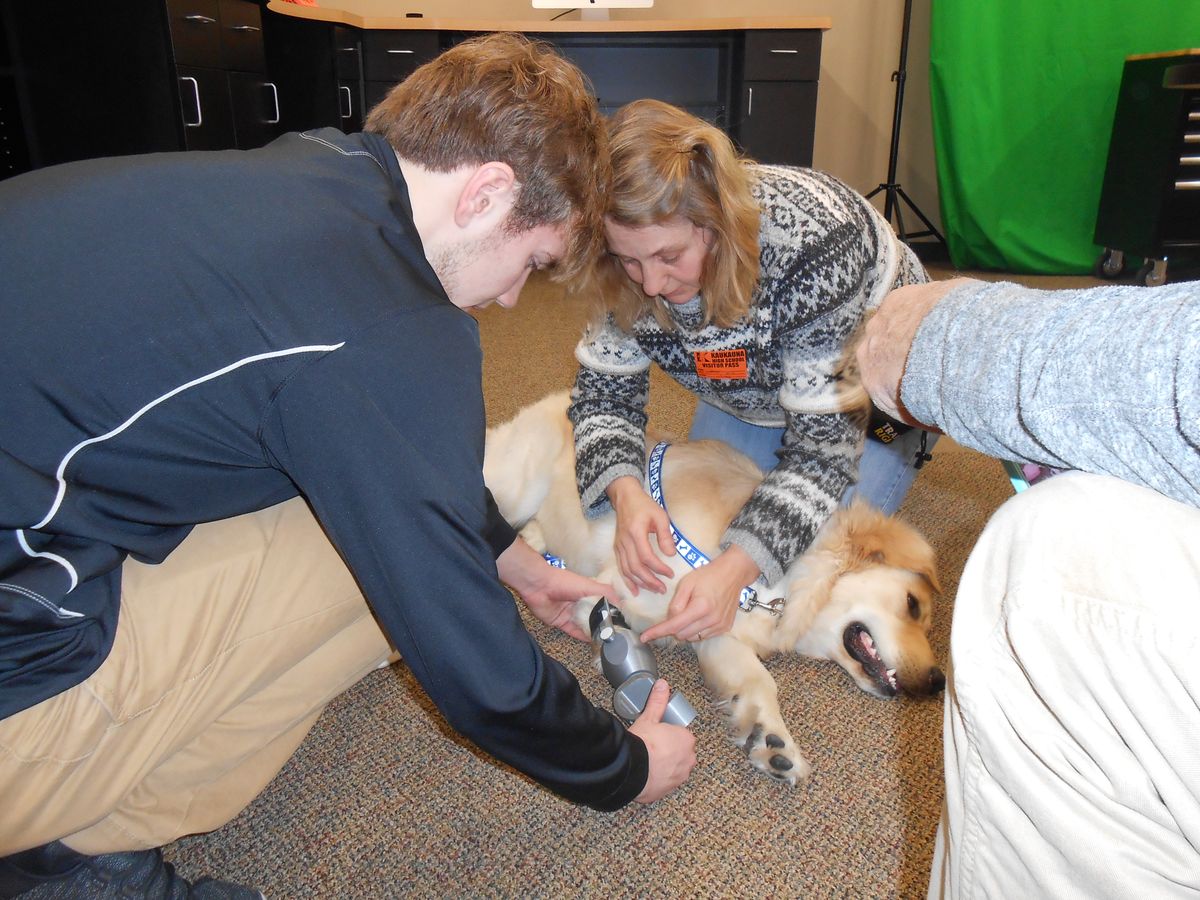 3D Printing: Puppy Paws to Jet Engines | Tech & Learning